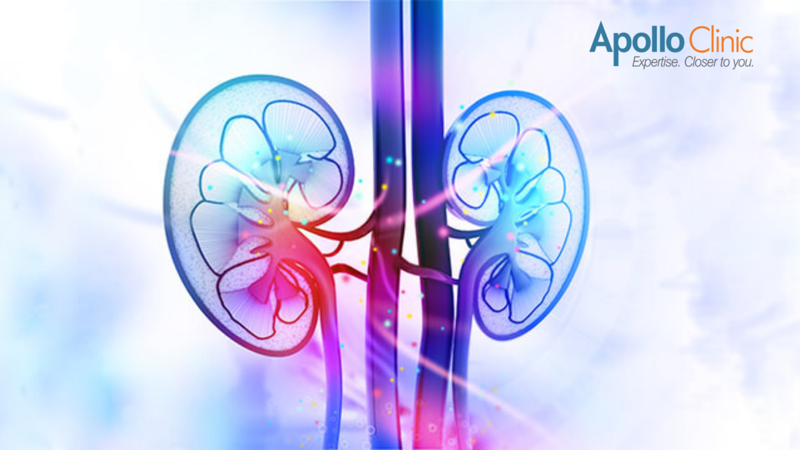 Nephrologist Vs Urologist: What's the Difference? - Patterns
